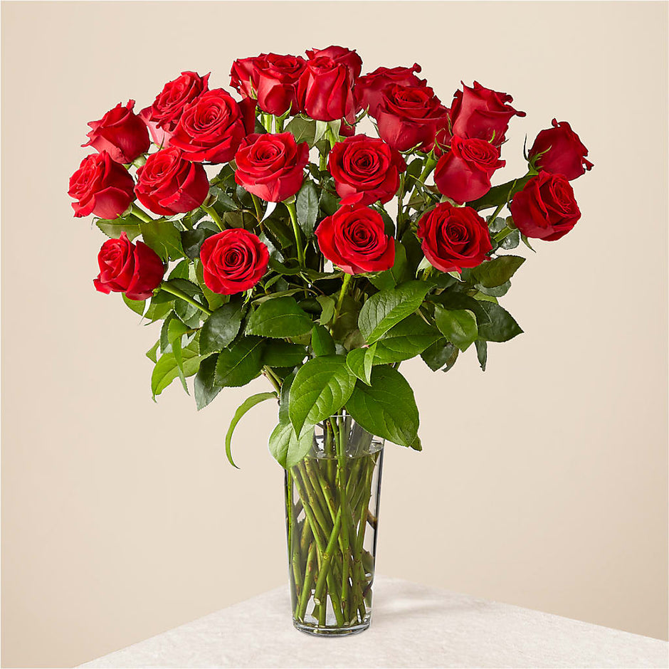 Columbus Florist | Same Day Flower Delivery by De Santis Florist Inc